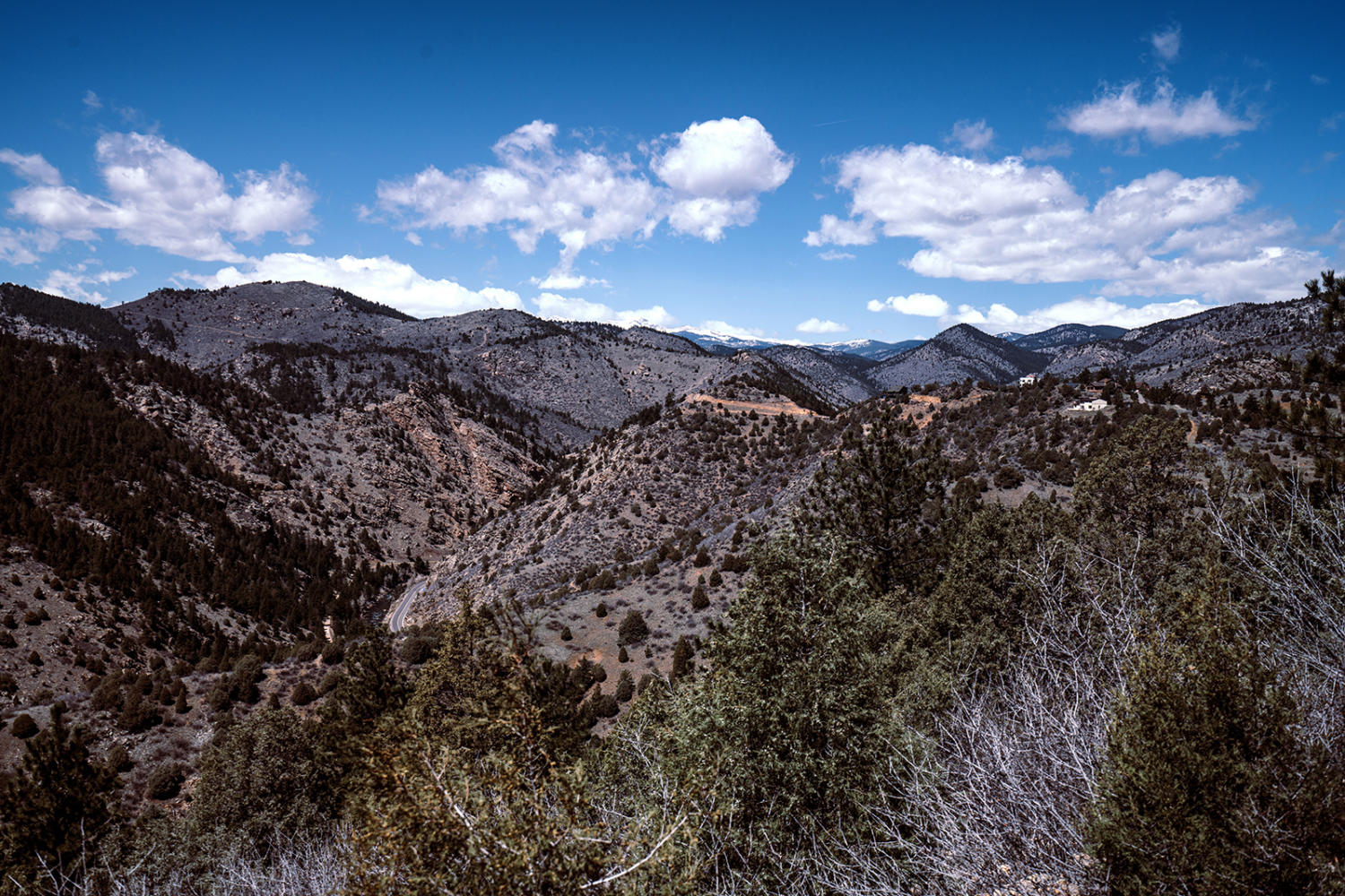 Hiking Denver's Foothills • Young Wayfarer