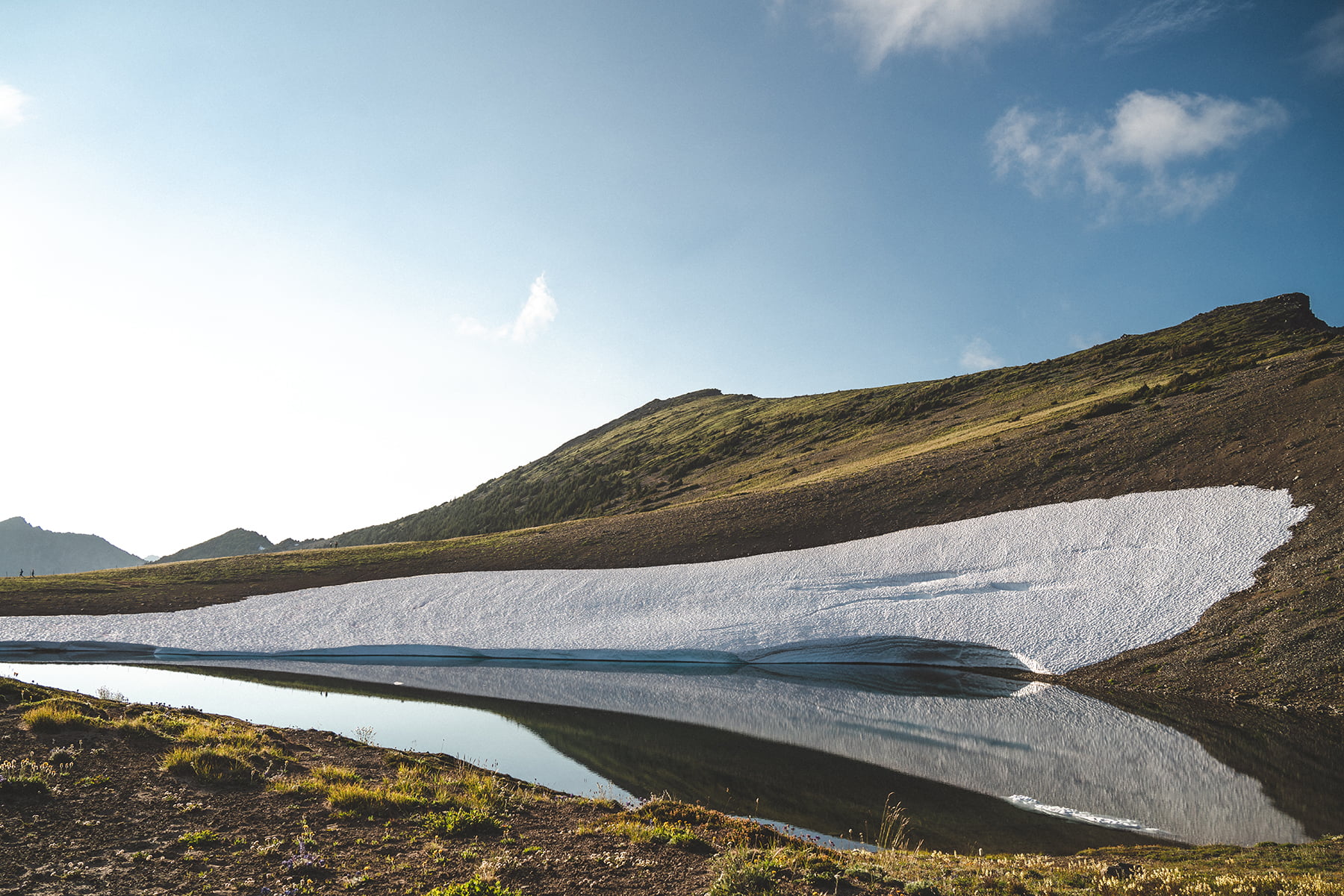 Hiking Mount Fremont Lookout in Mount Rainier National Park • Young ...
