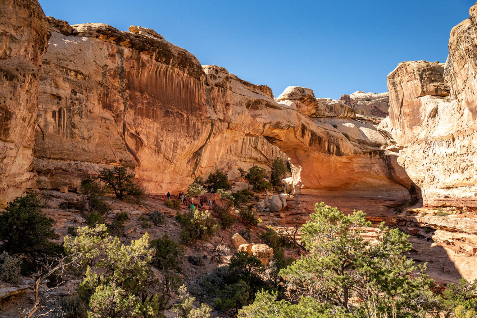 How to Spend One Day in the Capitol Reef Area • Young Wayfarer