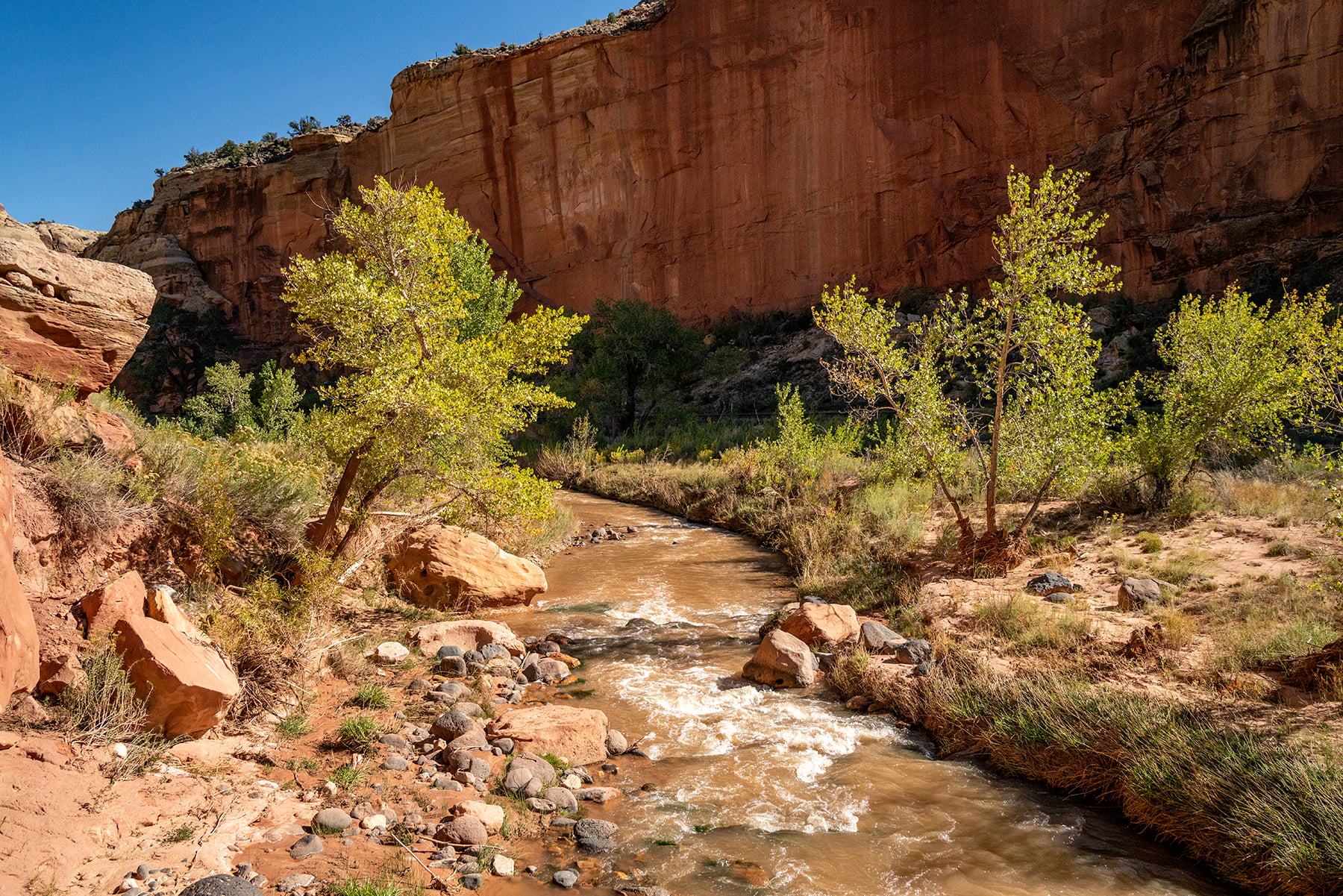 How to Spend One Day in the Capitol Reef Area • Young Wayfarer