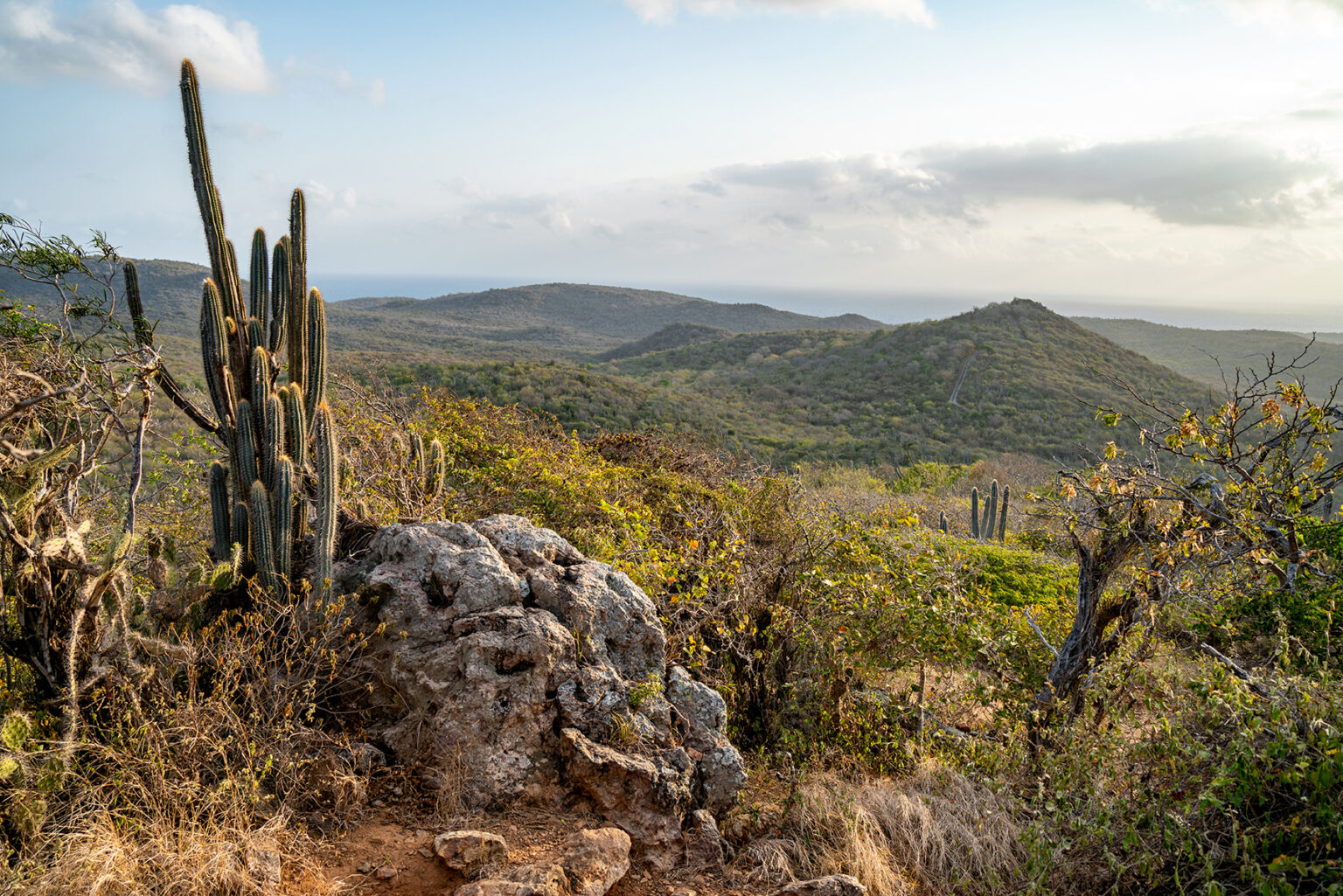 Visiting Two of Curaçao’s National Parks • Young Wayfarer