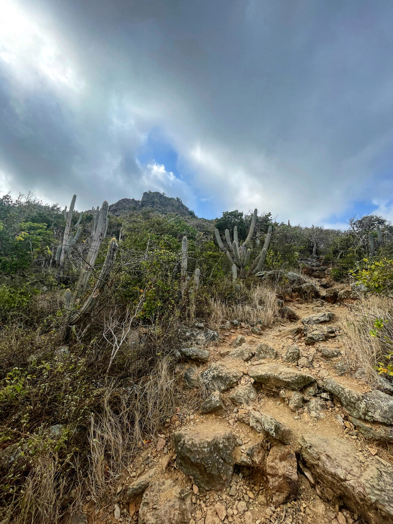 Visiting Two of Curaçao’s National Parks • Young Wayfarer