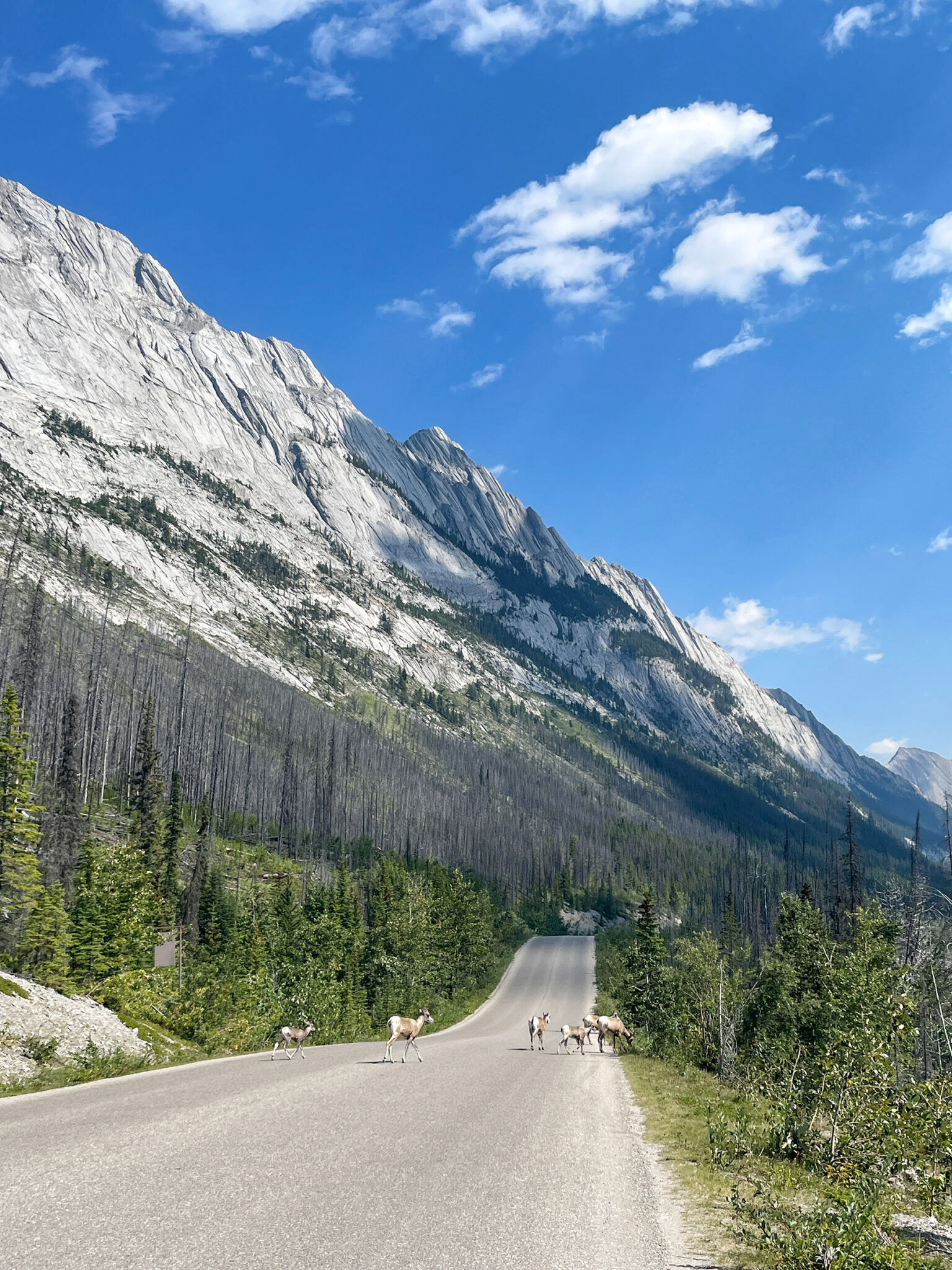 Three Day Itinerary for Jasper National Park • Young Wayfarer