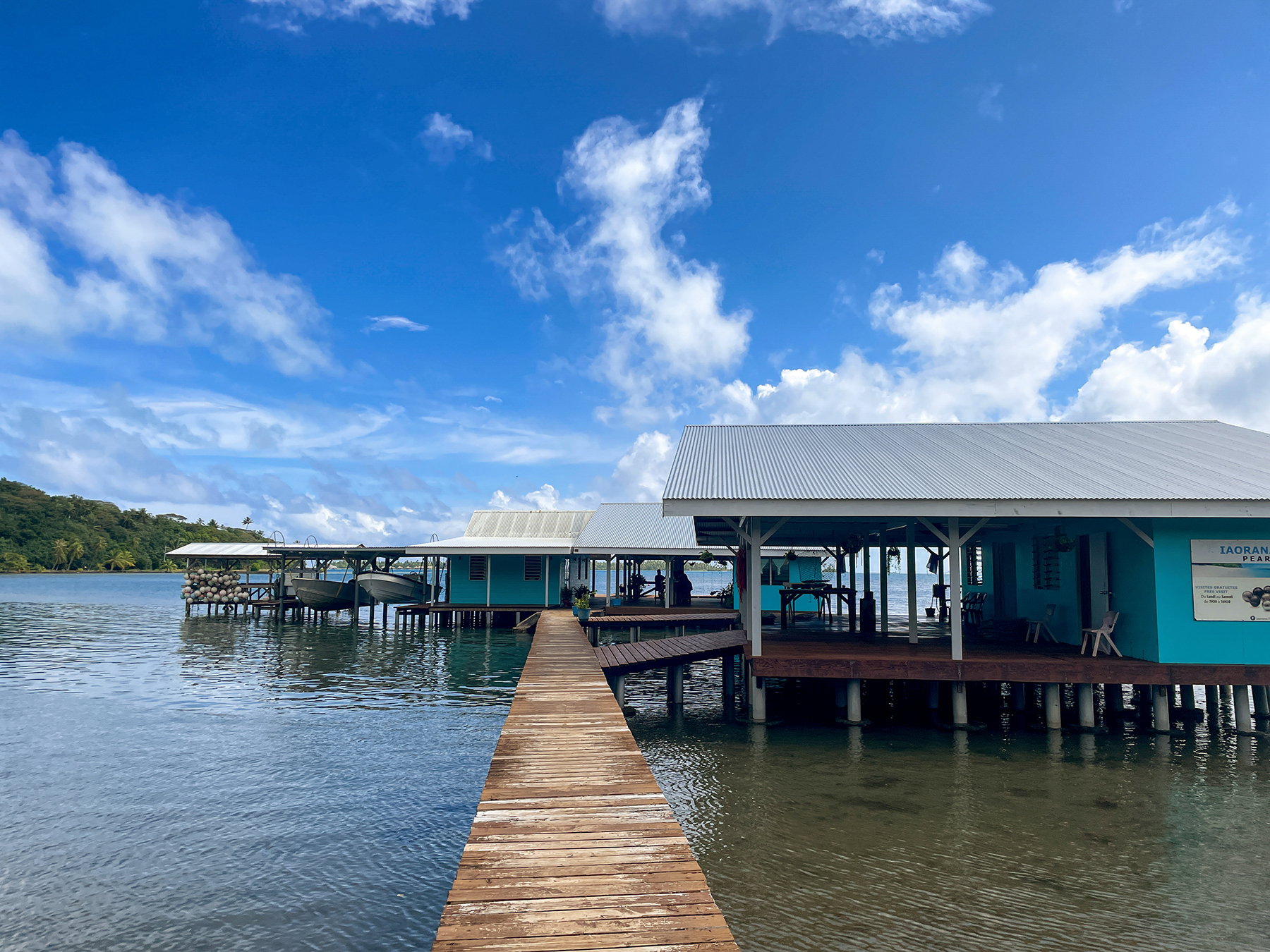 Four Days in Taha’a, French Polynesia • Young Wayfarer
